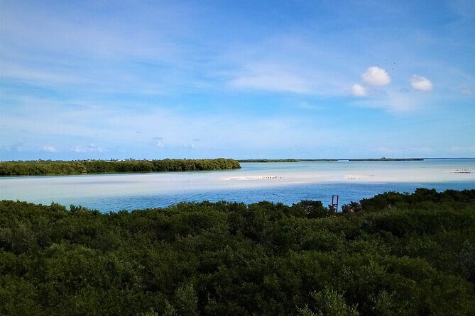 Full Day Excursion to the Best of Holbox From Riviera Maya - Authentic Reviews That Bring the Experience to Life