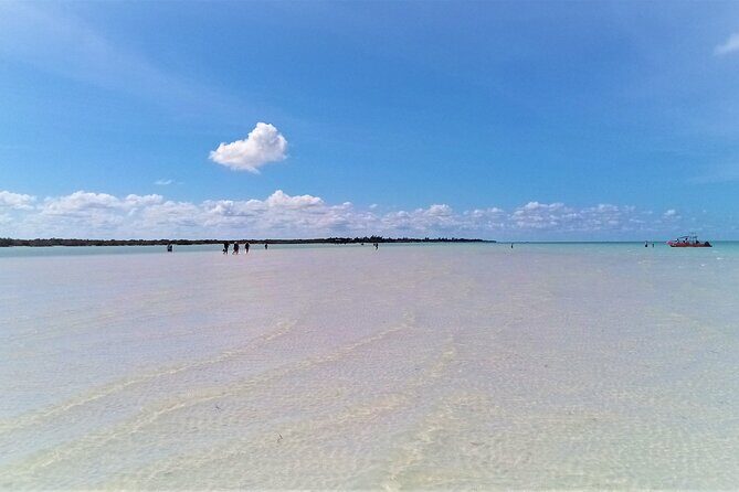 Full Day Excursion to the Best of Holbox From Riviera Maya - Final Thoughts: Is This Tour Right for You?