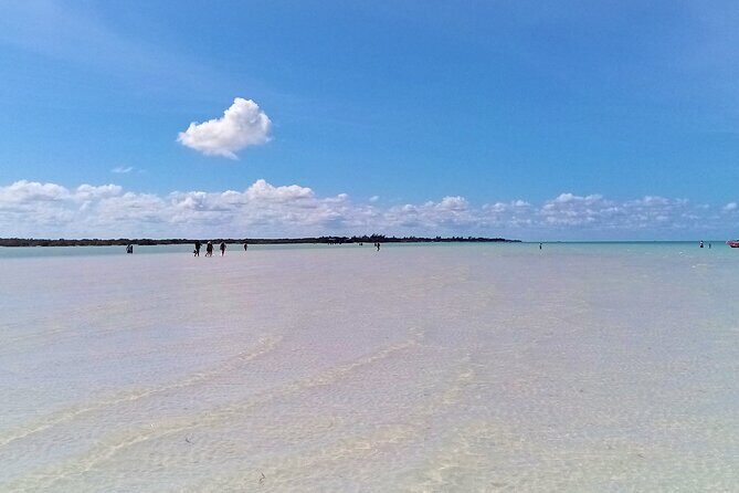 Full Day Excursion to the Best of Holbox From Riviera Maya - Final Words
