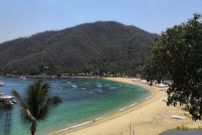 Full-Day Experience in Banderas Bay - FAQ