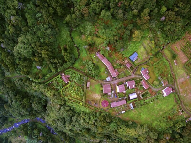 Full-Day Faial da Terra + Nordeste from Ponta Delgada - Key Points