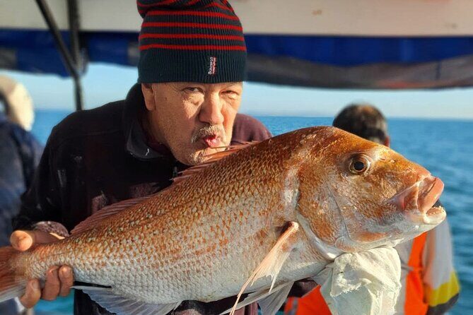 Full Day Fishing Trip on Auckland Waitemata Harbour - Key Points
