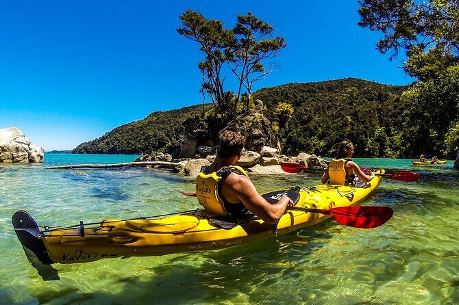 Full-Day Freedom Kayak Rental in New Zealand - Practical Tips for Future Paddlers