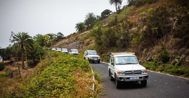 Full-Day Gomera Jeep Safari Excursion from Arona - Exploring the Full-Day Gomera Jeep Safari from Arona: An Honest Look