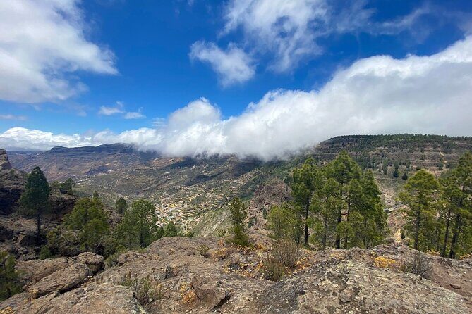 Full-Day Gran Canaria Tour with Teror, Tejeda and Lunch in Fataga - Who Should Consider This Tour?
