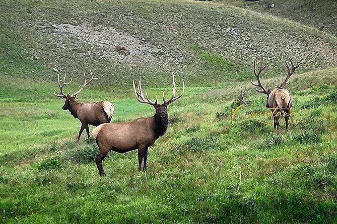 Full Day "Grand Tour" Private Chauffeured Customized Experience - An In-Depth Look at the "Grand Tour" Private Experience