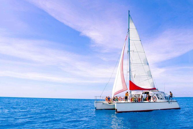 Full-Day Great Barrier Reef Sailing Trip from Cairns - Food and Beverage Offerings