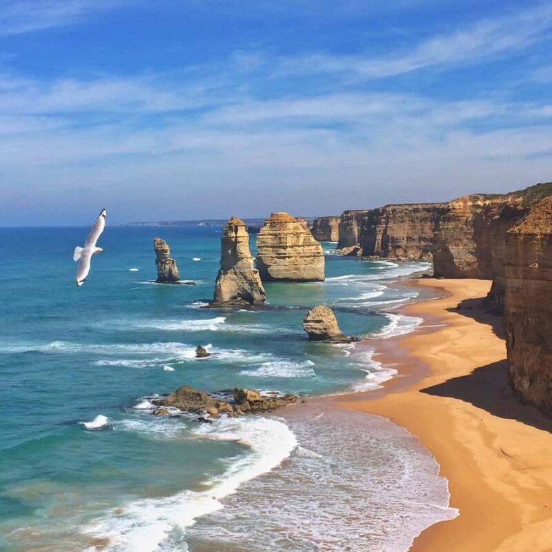 Full Day Great Ocean Road Private Guided Tour - Key Points