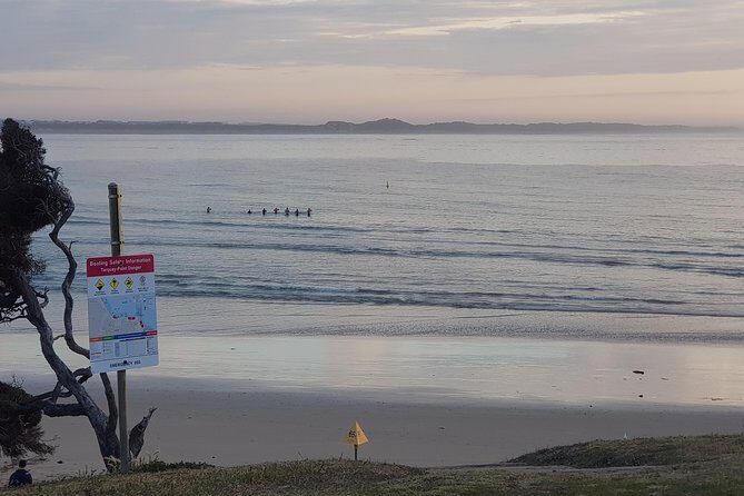 Full-Day Great Ocean Road Tour from Melbourne - What Makes This Tour Stand Out?