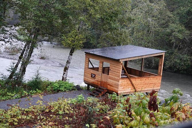 Full Day Grizzly Bear Tour to Toba Inlet - The Experience in Detail