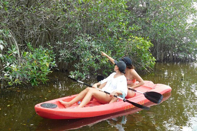 Full Day Guided Mangrove Bote Ride & Sisal Beach Time - Practical Details and Why They Matter