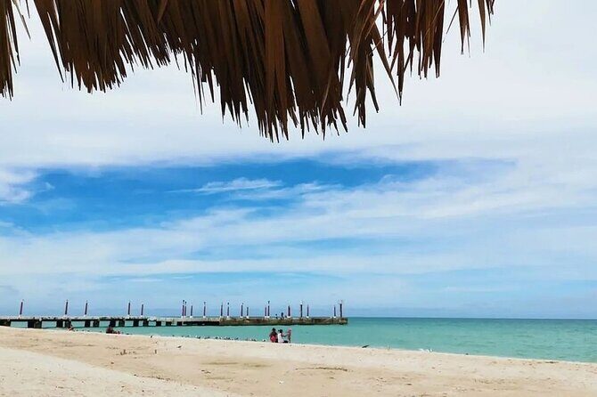 Full Day Guided Mangrove Bote Ride & Sisal Beach Time - Who Would Love This Tour?