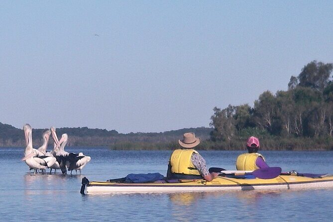Full-Day Guided Noosa Everglades Kayak Tour - The Allure of the Noosa Everglades