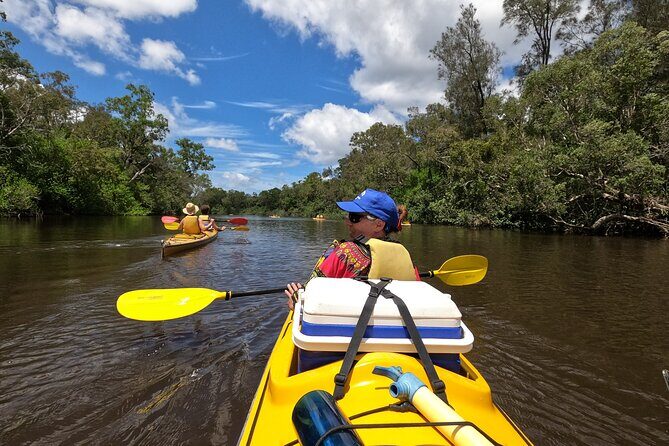 Full-Day Guided Noosa Everglades Kayak Tour - Authentic Reviews: What Travelers Say