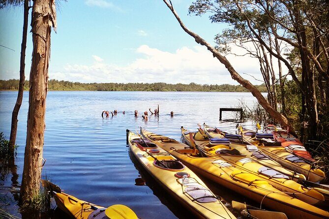 Full-Day Guided Noosa Everglades Kayak Tour - Final thoughts