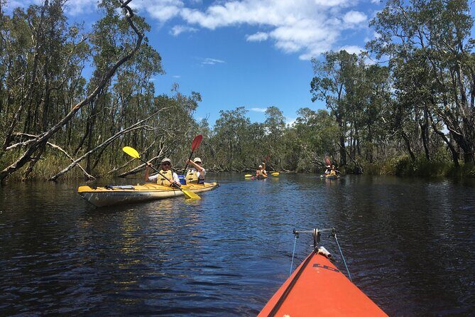 Full-Day Guided Noosa Everglades Kayak Tour - FAQ