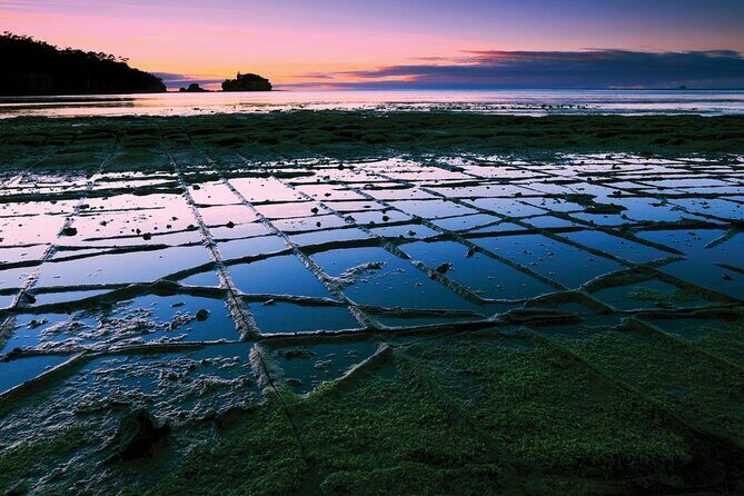 Full-Day Guided Port Arthur Day Tour & Tessellated Pavement - Who Would Love This Tour?