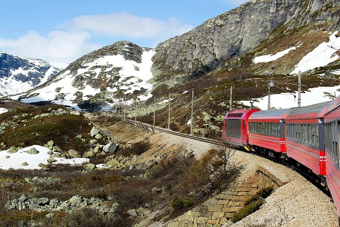 Full Day Guided Roundtrip From Bergen To Sognefjord With Flam Railway - Analyzing the Value and Price