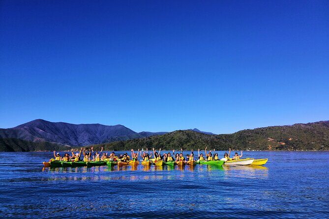 Full day Guided Sea Kayak Tour from Picton - An In-Depth Look at the Marlborough Sounds Sea Kayaking Experience