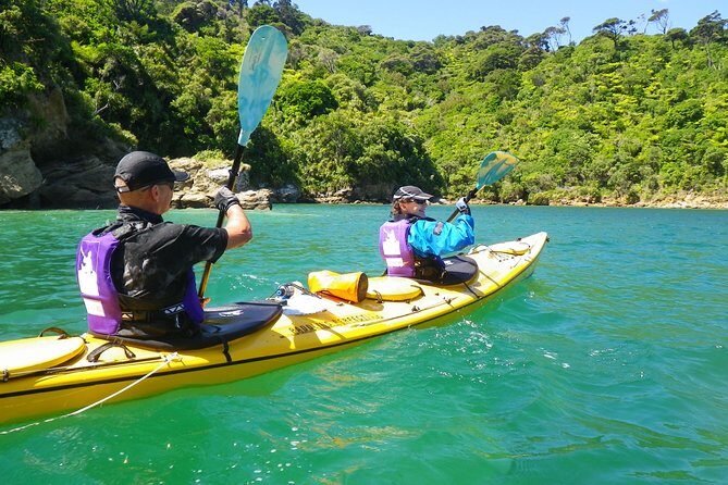 Full-Day Guided Sea Kayak Trip from Picton - What the Itinerary Looks Like