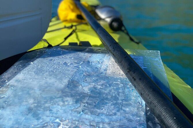 Full-Day Guided Sea Kayak Trip from Picton - Practical Details & Considerations