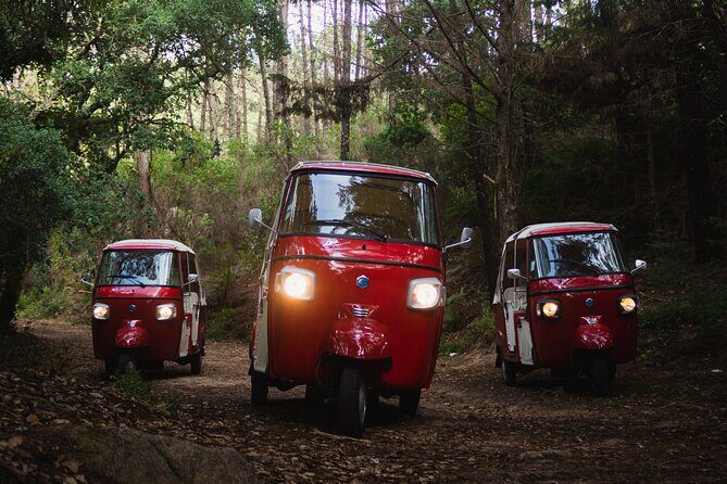 Full-Day Guided Tuk-Tuk Tour in Sintra - Cost & Value Analysis