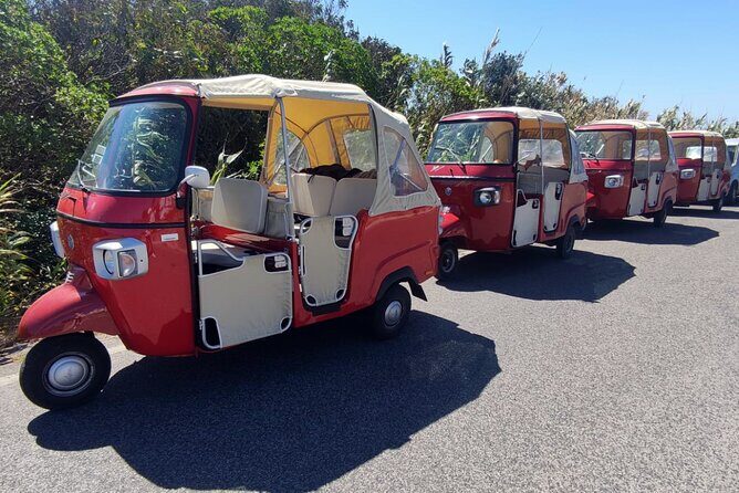 Full-Day Guided Tuk-Tuk Tour in Sintra - Who Will Enjoy This Tour?