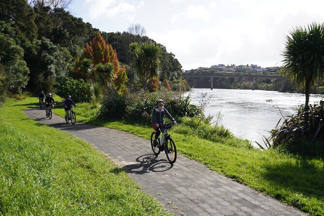 Full Day Guided Waikato River Trail E-bike Tour - An In-Depth Look at the Full Day Guided Waikato River Trail E-bike Tour