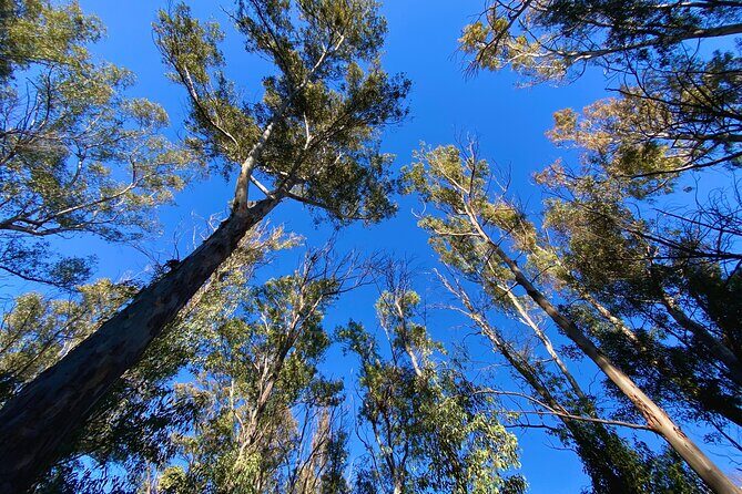 Full-day Hiking at Ruta the Aqua across Pena Cortada - The Sum Up