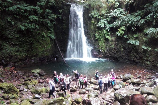 Full Day Hiking Faial da Terra (Min. 2 persons) - What to Expect During the Hike