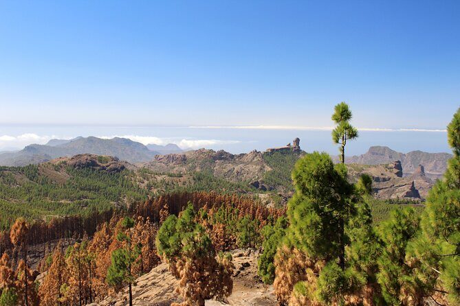 Full day Hiking Gran Canaria Peaks of Gran Canaria - Who Will Love This Experience?