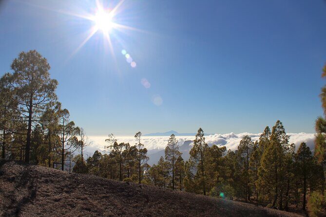 Full day Hiking Gran Canaria Peaks of Gran Canaria - Practical Details and Tips