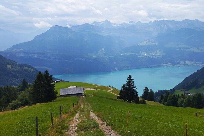 Full-Day Hiking Swiss Alps and Lake swim with Pick-up - The Details of the Hiking Tour