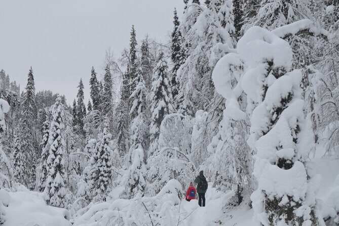 Full Day Hiking to Korouoma Canyon & Frozen Waterfalls - FAQ