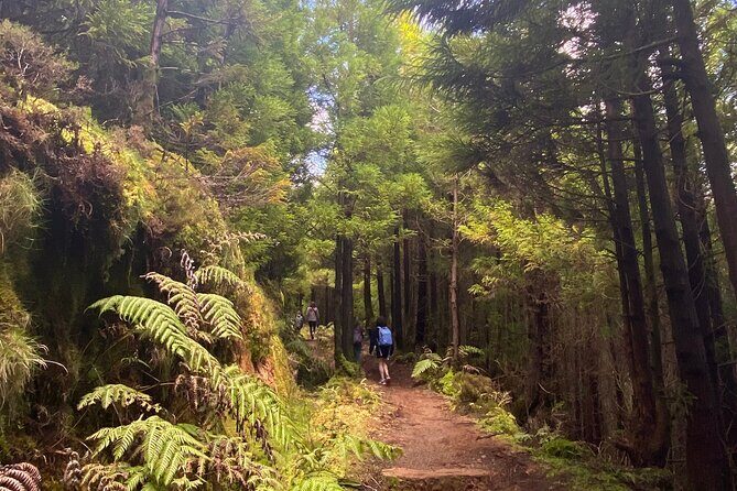 Full Day Hiking Trail Sete Cidades and Ferraria - A Picnic with a View