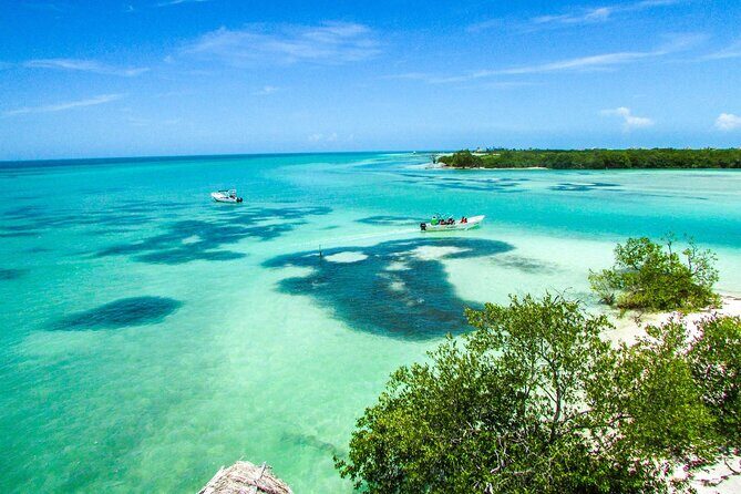 Full Day Holbox Island Tour from Playa del Carmen with Lunch - Key Points  