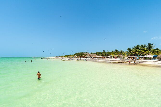 Full Day Holbox Island Tour from Playa del Carmen with Lunch - What the Reviews Reveal  