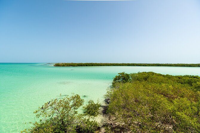 Full Day Holbox Island Tour from Playa del Carmen with Lunch - Final Thoughts