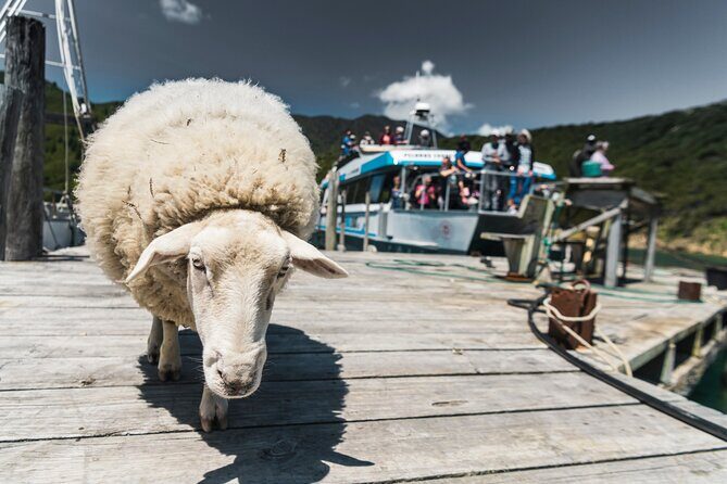 Full Day Iconic Mail Boat Cruise - Final Thoughts