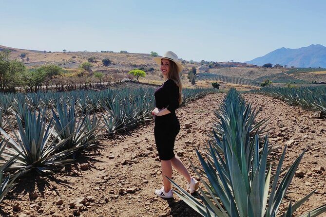Full Day in Tequila with Tasting and party in Cantaritos - Authenticity and Atmosphere
