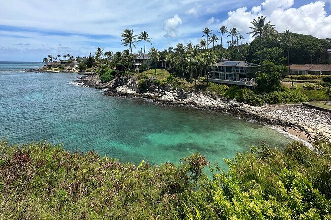 Full Day Island of Maui Private Tour - Authentic Insights from Reviews