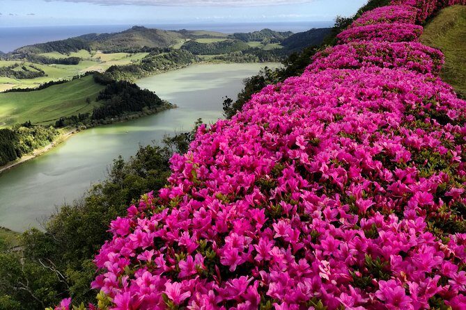 Full Day Jeep Tour Furnas with lunch (Cozido) and drinks included - Key Points