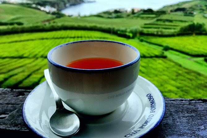 Full Day Jeep Tour Furnas with lunch (Cozido) and drinks included - The Culinary Experience: Cozido Lunch