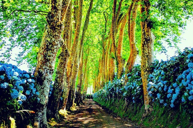 Full day jeep tour Nordeste with lunch included - The Itinerary: What to Expect from Start to Finish