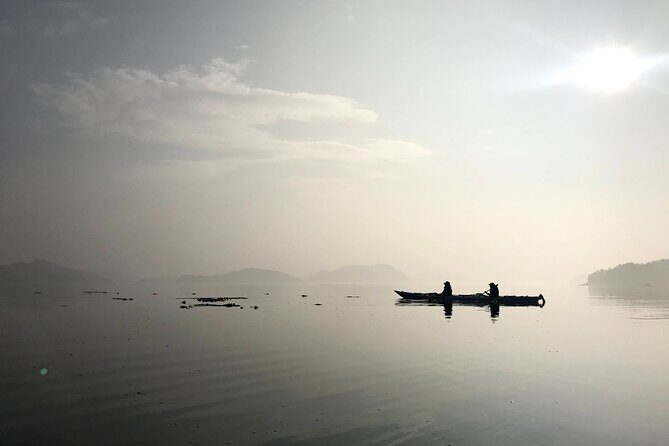 Full Day Kayaking Adventure on Vancouver Island - Price & Value: Is It Worth It?