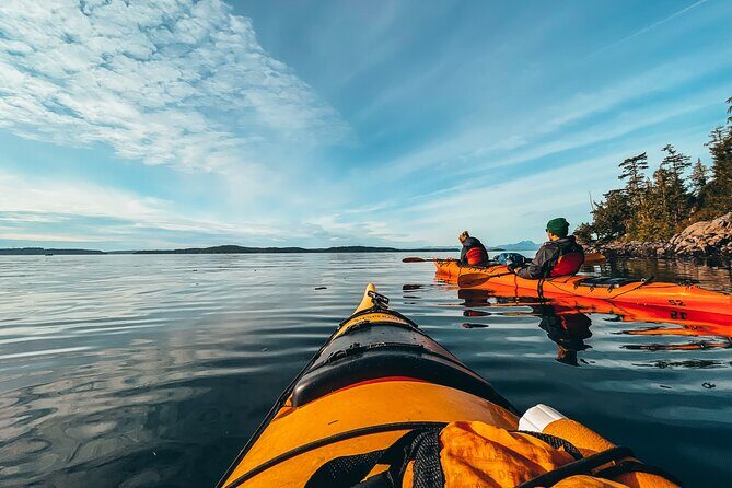Full Day Kayaking Adventure on Vancouver Island - Final Thoughts: Who’s This Tour Best For?