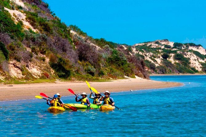 Full Day Kayaking Tour in Coorong National Park - Key Points