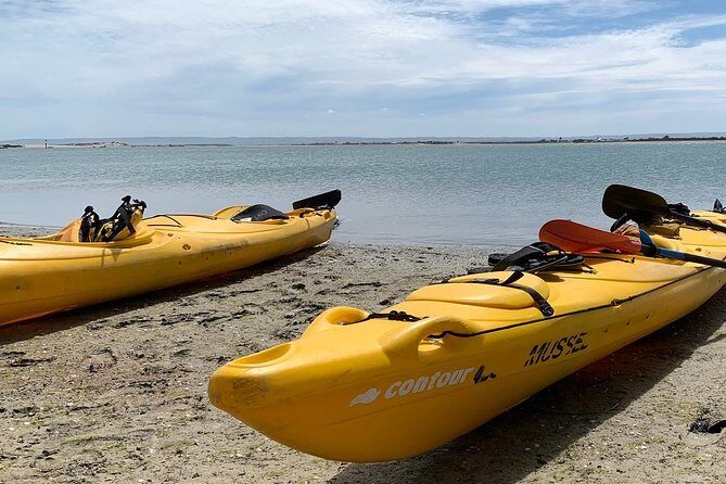 Full Day Kayaking Tour in Coorong National Park - FAQs
