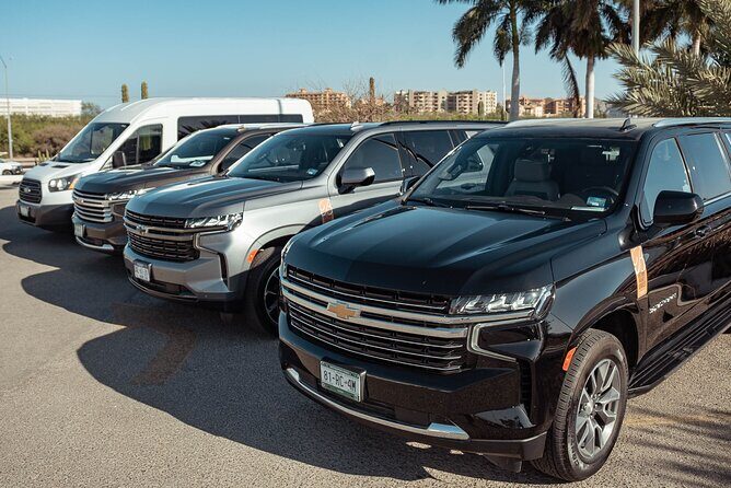 Full-Day La Paz Private Tour from Los Cabos - An In-Depth Look at the Full-Day La Paz Private Tour