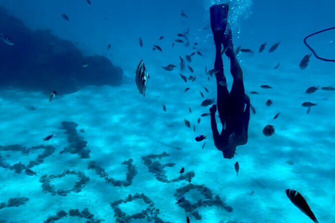 Full Day Lagoon experience with motu lunch - Key Points